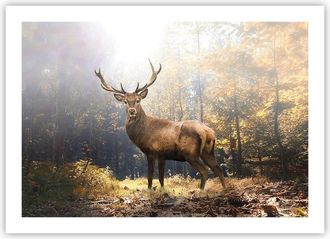 Arttor Wandposter Art Prints 70x50cm Poster ohne Rahmen Licht Hirsch Wald K&uuml;che Wanddeko Bild Wand Kunstdruck Deko Wandbilder Dekoration Wohnzimmer Schlafzim