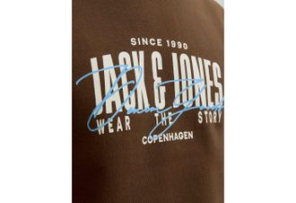 Jack & Jones Sweater Jack&Jones &Uuml;bergr&ouml;&szlig;en Sweatshirt braun JJAERO Print