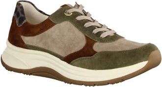 Ganter Hig. Fly. Da 2018225399 Moos/Multi (vert/beige/marron) - Chaussures &agrave; lacets avec semelle amovible - Chaussures pour femme confortables &agrave; lacets - Ver