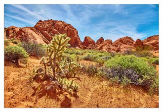 Wallario selbstklebendes Poster - Felsenw&uuml;ste, Aufkleber in Premiumqualit&auml;t, Klebefolie Gr&ouml;&szlig;e: 61 x 91,5 cm (Maxiposter)