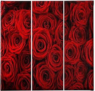 Homemania HM203PKNV-203 3-teiliges Blumengemälde, für Wohnzimmer, Schlafzimmer, Mehrfarbig, Polyester, Holz, 69 x 3 x 50 cm