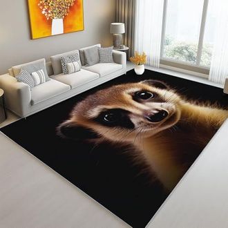 Generic Tapis Imprim&eacute; Moderne surnaturel suricates pour Salon Chambre D&eacute;coration de la Maison - Multicolore Flanelle Antid&eacute;rapante Tapis Salon de Sol paillass