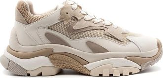 Ash Ash, Femme, Chaussures, Blanc, Taille: 38 EU Addict 01 Baskets