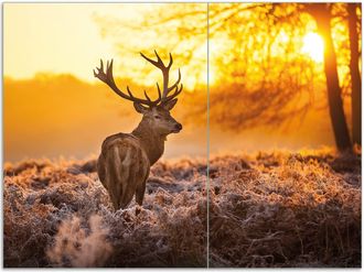 Wallario Herdabdeckplatte/Spritzschutz aus Glas, 2-teilig, 70x52cm, für Ceran- und Induktionsherde, Motiv stattlicher Rothirsch im Morgengrauen