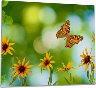 Wallario Herdabdeckplatte/Spritzschutz aus Glas, 1-teilig, 60x52cm mit 8mm hohen F&uuml;&szlig;en, f&uuml;r Ceran- und Induktionsherde, Blumen mit Schmetterling