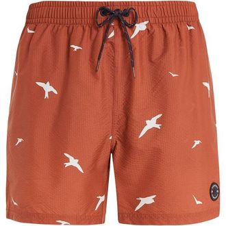 Protest Herren Badeshorts PRTZINZU beachshort