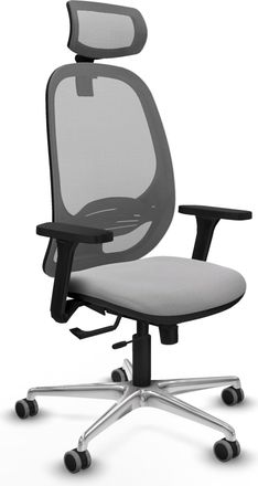 Piqueras y Crespo Cilanco Sicherheitsstuhl mit 3D-Armen, h&ouml;henverstellbarer Lendenwirbelst&uuml;tze und h&ouml;henverstellbarem Kopfteil, Grau/Hellgrau