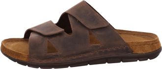 Rohde Pantolette Rodigo-H