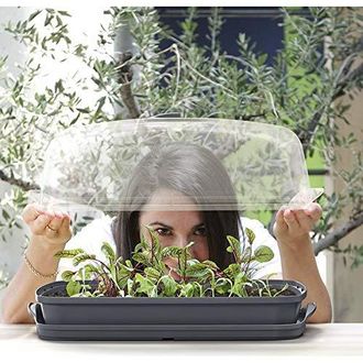 Prosperplast Mehrzweck-Saatbett/Tablett mit Polycarbonatdeckel RESPANA TABLE GREENHOUSE 3,6 l, Abmessungen (mm) 391 x 257 x 185, Farbe Steingrau