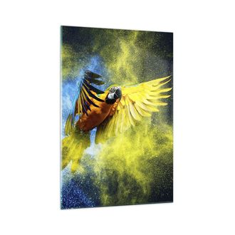Arttor Bilder auf Glas 70x100cm Glasbild Papagei Vogel Feder Gro&szlig; Wanddeko Bild im Glas Schlafzimmer K&uuml;che Deko Wandbilder Dekoration Wohnzimmer Modern Wall 