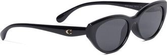 Coach Sonnenbrillen 0HC8456D 500287 Schwarz