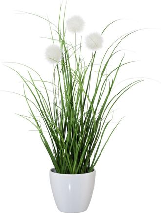 Creativ Green künstlicher Grasbusch 36cm mit Zierpuscheln im weißen Kunststofftopf I künstliches Dekogras im Topf I Ziergras für Innen I hochwertige & dekorative De