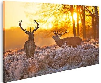 Islandburner Tableau sur toile Deux cerfs au soleil du matin Cadre Affiche Poster Murale Tableaux
