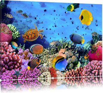 Pixxprint Bunte Fische über Korallenriff, Größe: 100x70cm, Leinwandbild, fertig gespannt, Wandbild, Dekoration, Kunstdruck, kein Poster