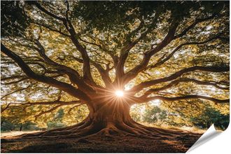 Islandburner XXL Bild Poster M&auml;chtiger Baum mit Sonnenstrahlen f&uuml;r Wohnzimmer Naturliebhaber Boutique Premium Bilder Fotodruck
