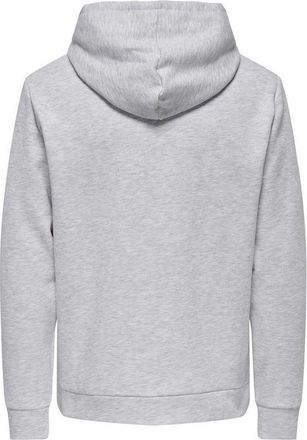 Only & Sons Kapuzensweatshirt ONSCHASE REG HOOD SWEAT OTL