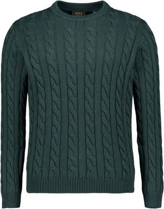 N.Z.A. Herren Pullover gr&uuml;n Baumwolle unifarben