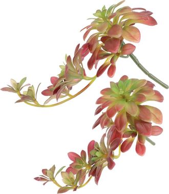 Cabilock 2 Stück Künstliche Sukkulenten Langlebige Realistische Deko Pflanze für Haushalt Büro Wohnzimmer Pflegefrei Natürliche Optik Dekorative Hängepflanze