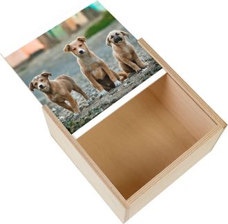 Fabulous Box aus Holz - Welpengang f&uuml;r Babys, Hunde, cremebraun, niedlich (11 x 11 x 3,5 cm)