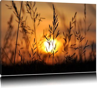 Pixxprint Gras bei Sonnenuntergang, Gr&ouml;&szlig;e: 120x80cm, Leinwandbild, fertig gespannt, Wandbild, Dekoration, Kunstdruck, kein Poster
