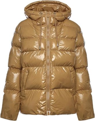 Pinko Pinko, Femme, Vestes, Brun, Taille: 38 FR Eleodoro Down Jacket