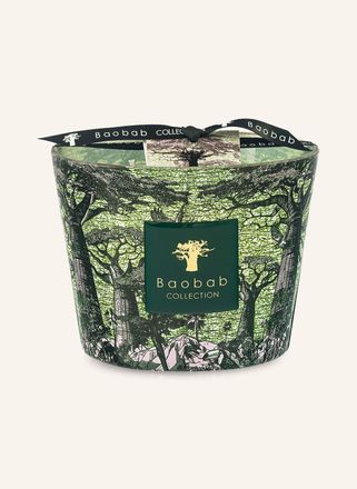 Baobab Baobab Collection Duftkerze Sacred Trees Touba gruen