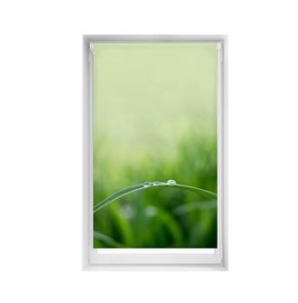 Blindecor Easy Jalousie ohne Bohren, Bedruckt, lichtdurchlässig, Digitaldruck, Quietud, 95 x 150 cm (Breite x Höhe), Stoffmaß 92 x 145 cm