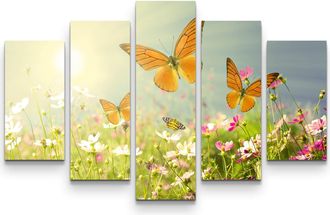 Paul Sinus Art Leinwandbilder | Bilder Leinwand 160x100cm Schmetterlinge auf einer Blumenwiese im Sommer