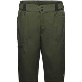 Gore GORE Wear Passion Shorts Herren