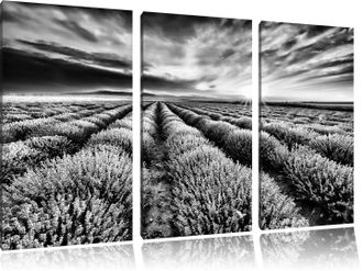 Pixxprint Traumhafte Lavendel Provence, Leinwandbild 3 Teilig, Gesamtmaß: 120x80cm, Wandbild, Dekoration, fertig gespannt, Kein Poster