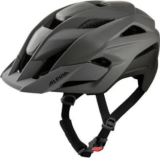 Alpina Helm STAN MIPS