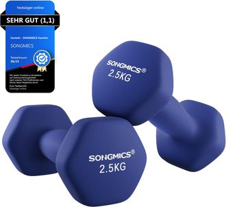 Songmics 2er-Set Hanteln, 2 x 2,5 kg rutschfeste Gymnastikhantel mit matter Beschichtung aus Neopren, Krafttraining, zu Hause, Fitnessstudio blau SYL65BU