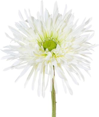 Creativ Home Kunstblume, Seidenblume Gerbera gefüllt 57 cm. Weiß Weiss 2018018-40