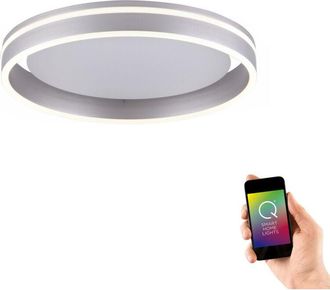 Paul Neuhaus Paul Neuhaus Q-Vito Plafonnier semi-encastr&eacute; &agrave; LED int&eacute;gr&eacute; en acier, 1 LED 27 W, intensit&eacute; variable 2 700-5 000 K