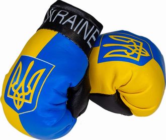 Aim&eacute;e Mini Boxhandschuhe Ukraine