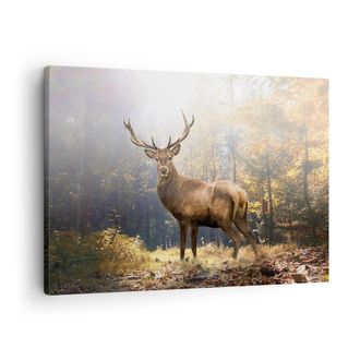 Arttor Bilder auf Leinwand Licht Hirsch Wald Leinwandbild mit Rahmen 70x50cm Wandbilder Dekoration Wohnzimmer Schlafzimmer Küche Deko Klein Wanddeko Bild Wan