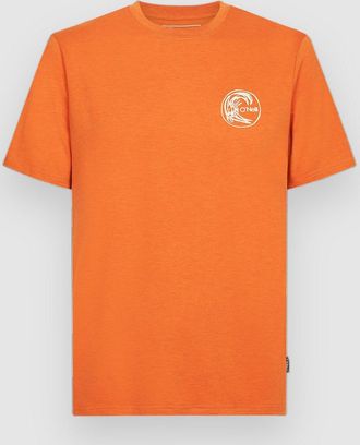 O'Neill ORiginals Hybrid T-Shirt cinnamon stick
