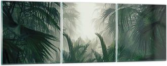 Arttor Mehrteilige Bilder auf Glas 120x40cm Glasbild Dschungel Bl&auml;tter Palmen Gro&szlig; Wanddeko Schlafzimmer K&uuml;che Set 3 teilige Wandbilder Dekoration Wohnzimmer