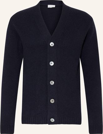 Daniele Fiesoli Daniele Fiesoli Strickjacke Aus Cashmere blau