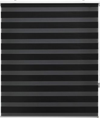 Blindecor | Rollo für Nacht und Tag nach Maß, doppellagig, Schwarz, 120 x 250 cm (Breite x Höhe), Stoffgröße 117 x 245 cm, Fensterrollos