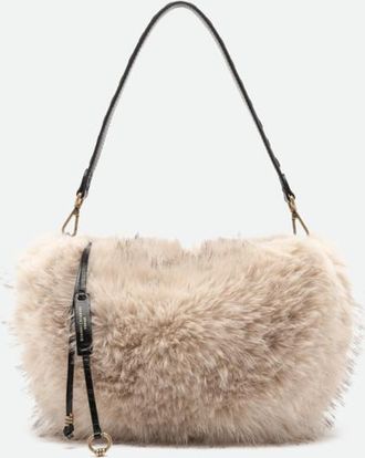 Gianni Chiarini CLEO