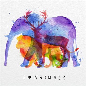 Wallario Sticker/Aufkleber für Kühlschrank/Geschirrspüler/Küchenschränke, Selbstklebende Folie - 60 x 60 cm, Motiv: Farbenvielfalt der Tierwelt