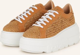 Casadei Casadei Sneaker Nexus braun
