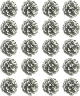 Amosfun 1 Satz 20 STK Weihnachtstannenzapfen Tannenzapfen Handwerk Tannenzapfen Kugeln Weihnachtsanhänger Mit Weißen Tannenzapfen DIY Zubehör Gold Und Silber 