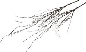 Botanic-Haus künstlicher Weidenzweig/künstlicher Deko-AST Farbe: braun (2 Stück)