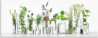 Artland ARTland Spritzschutz K&uuml;chenr&uuml;ckwand aus Alu f&uuml;r K&uuml;che Herd Sp&uuml;le individuelles Ma&szlig; Pflanzen Kr&auml;uter Gew&uuml;rze Lavendel Basilikum Blumen H9KE