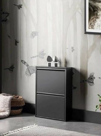 Dmora Schuhschrank Ezequiel 50x15x71 cm, Schwarz, 4 Paar, 2 Türen