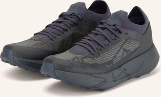 Arc'teryx Trailrunning-Schuhe Sylan 2 grau