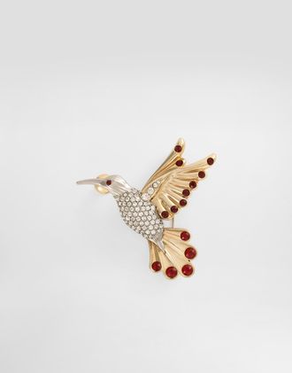 Dolce & Gabbana Kolibri-brosche - Mann Bijoux Mehrfarbig Metall Pz