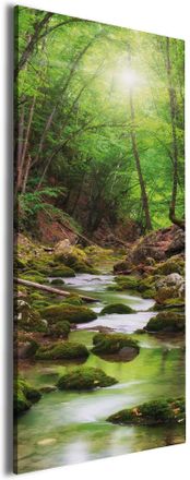 Wallario Leinwandbild Fluss im Wald - Wandbild 30 x 75 cm: Kunstdruck | Brillante lichtechte Farben | hochaufl&ouml;send | verzugsfrei